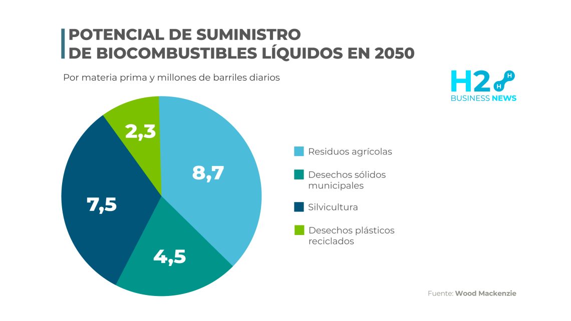 "Los biocombustibles basados en residuos podrían desbloquear la transición energética", según ...